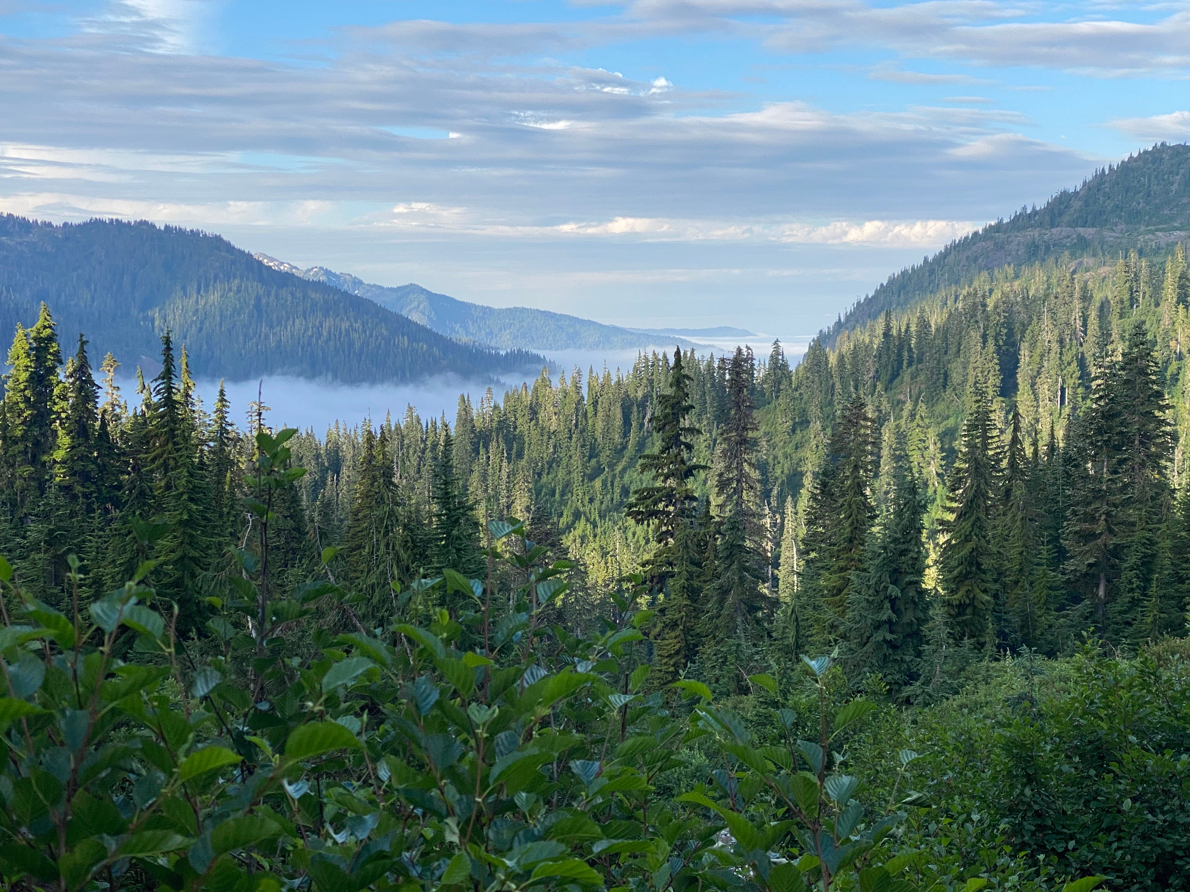 The Bailey Range Traverse