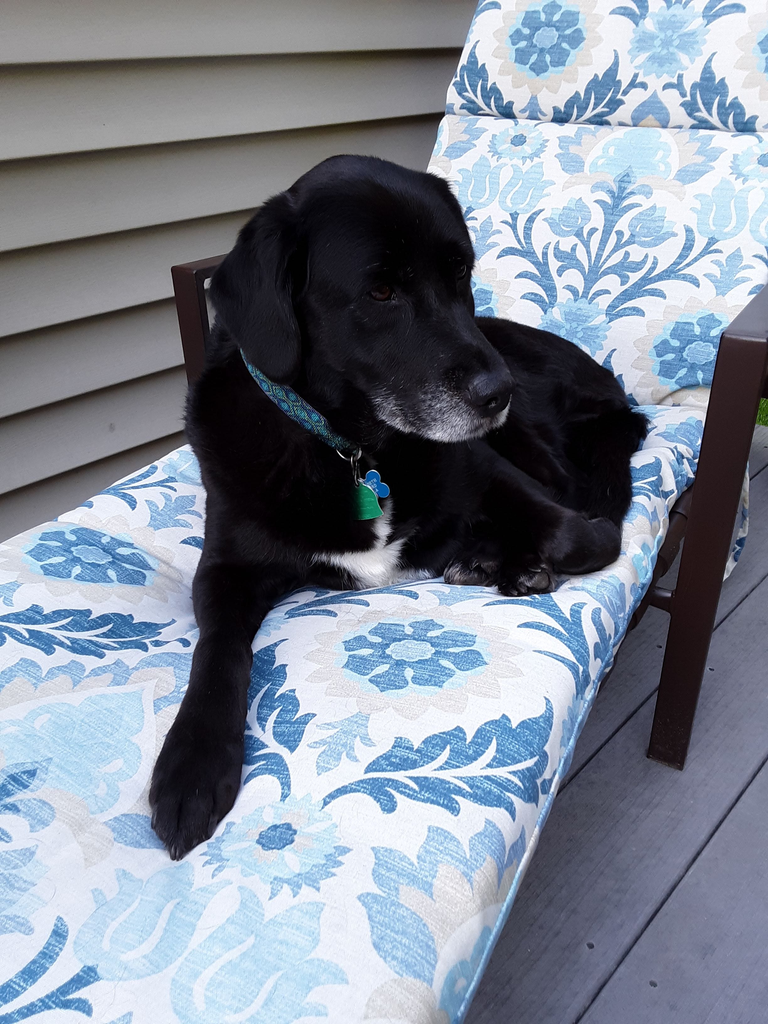 Bill Alstrom (MA/Maine/MA) | Substack