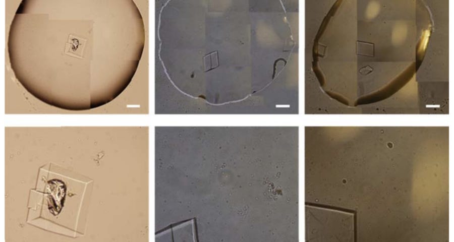 Self-Assembly of DNA Crystals. Mik Andersen