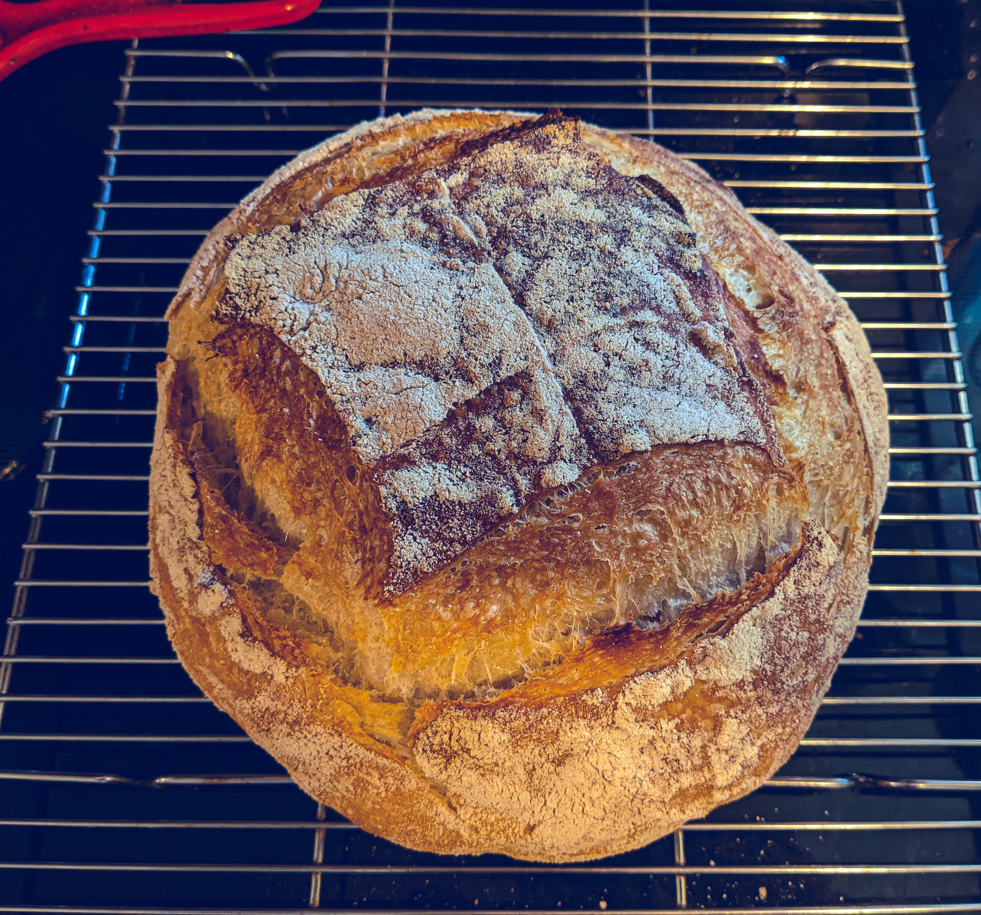 true nourishment - by Jess Moran - The Meaningful Glow