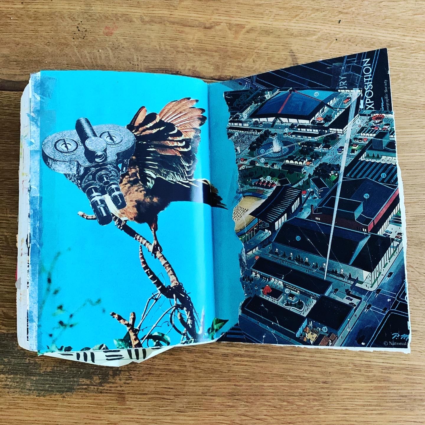 Collage problems - Austin Kleon