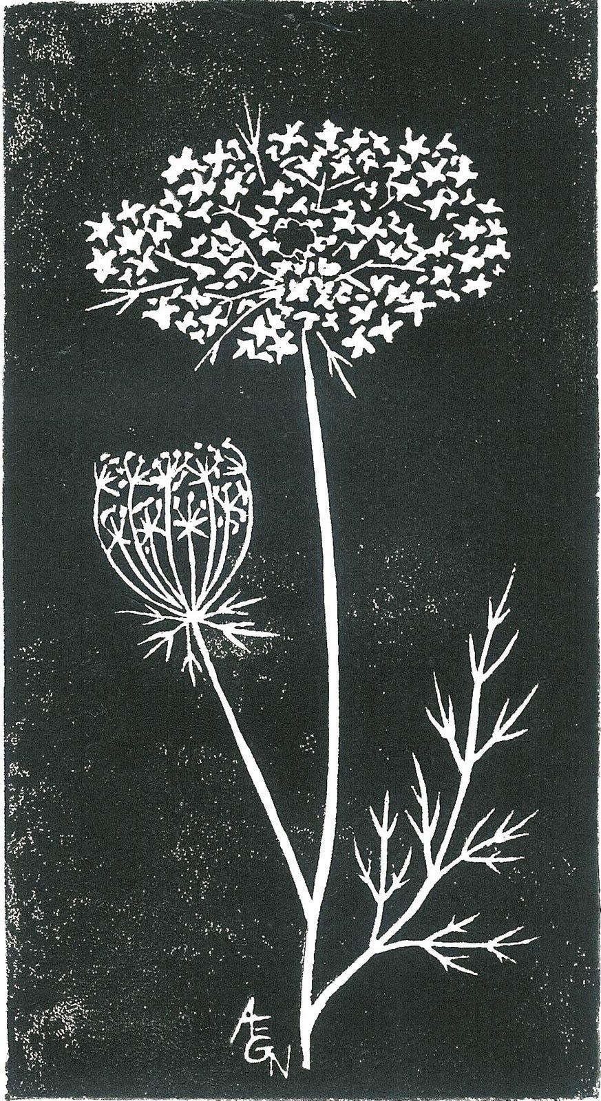 Annie King | Substack