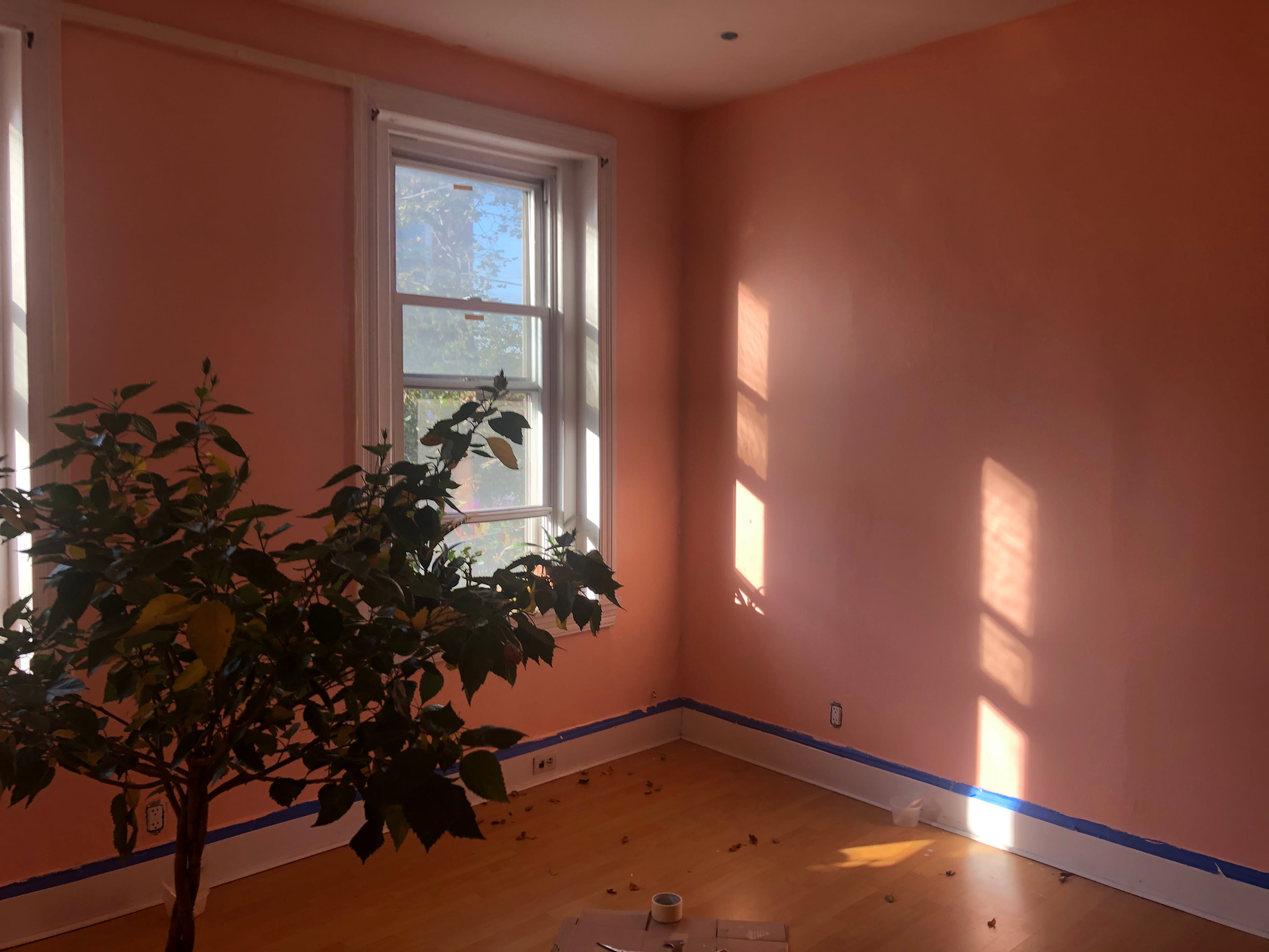 EyeKneaux | Margaret | Substack