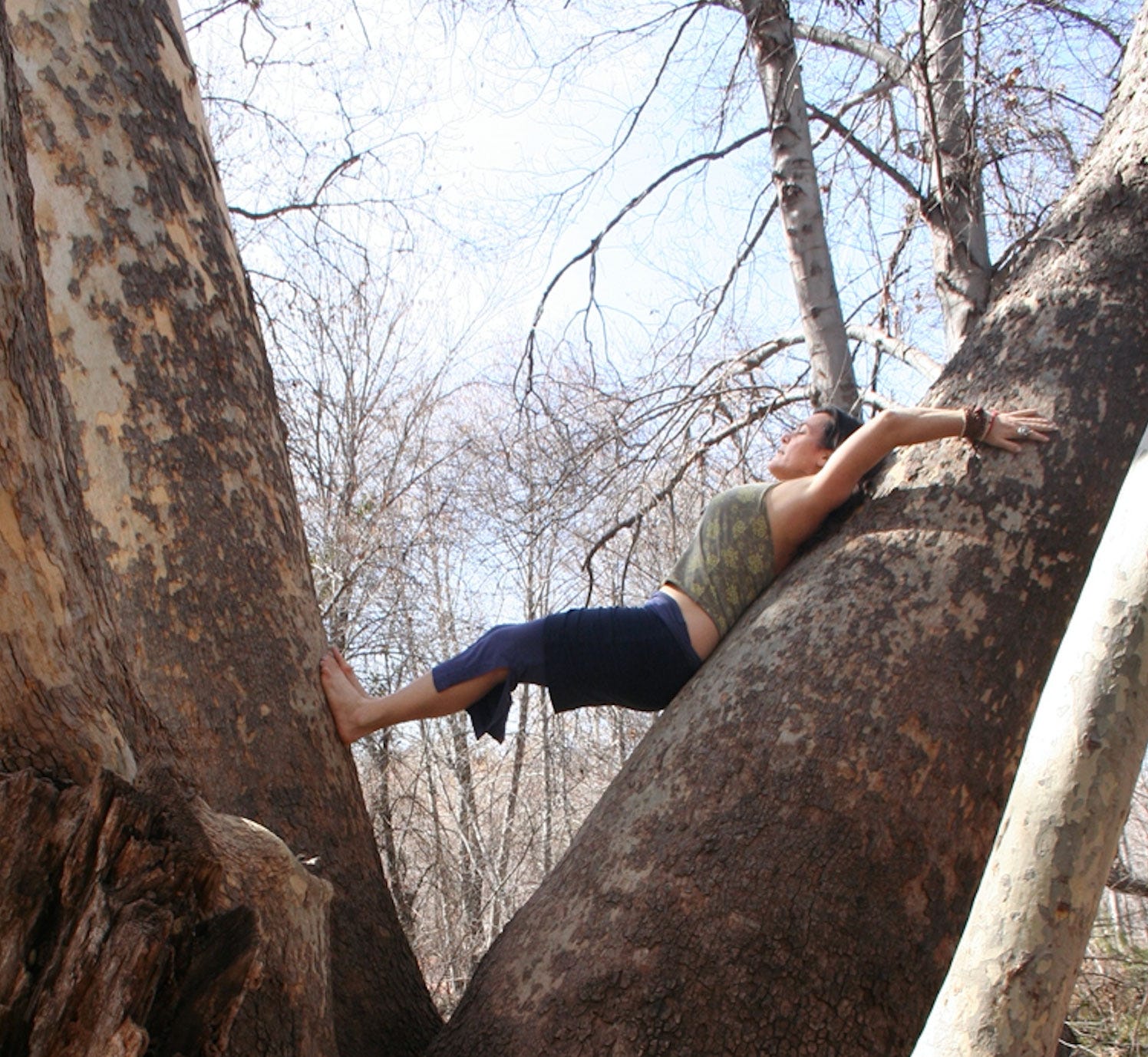 Suzanne Toro | Substack