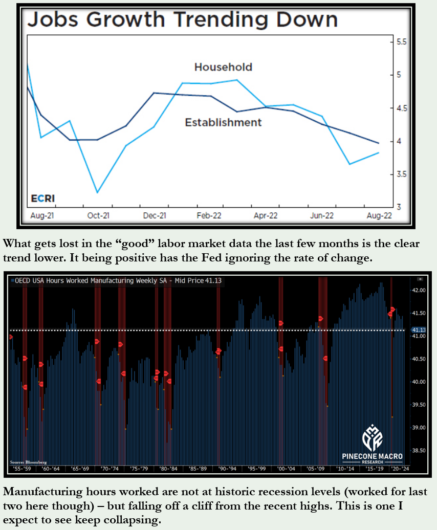 Jerbs Trouble - by Chase Taylor - Pinecone Weekly Brief