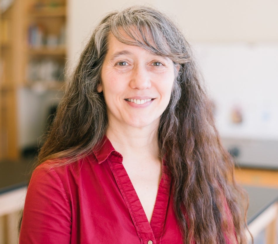 Carrie-Ann Biondi | Substack