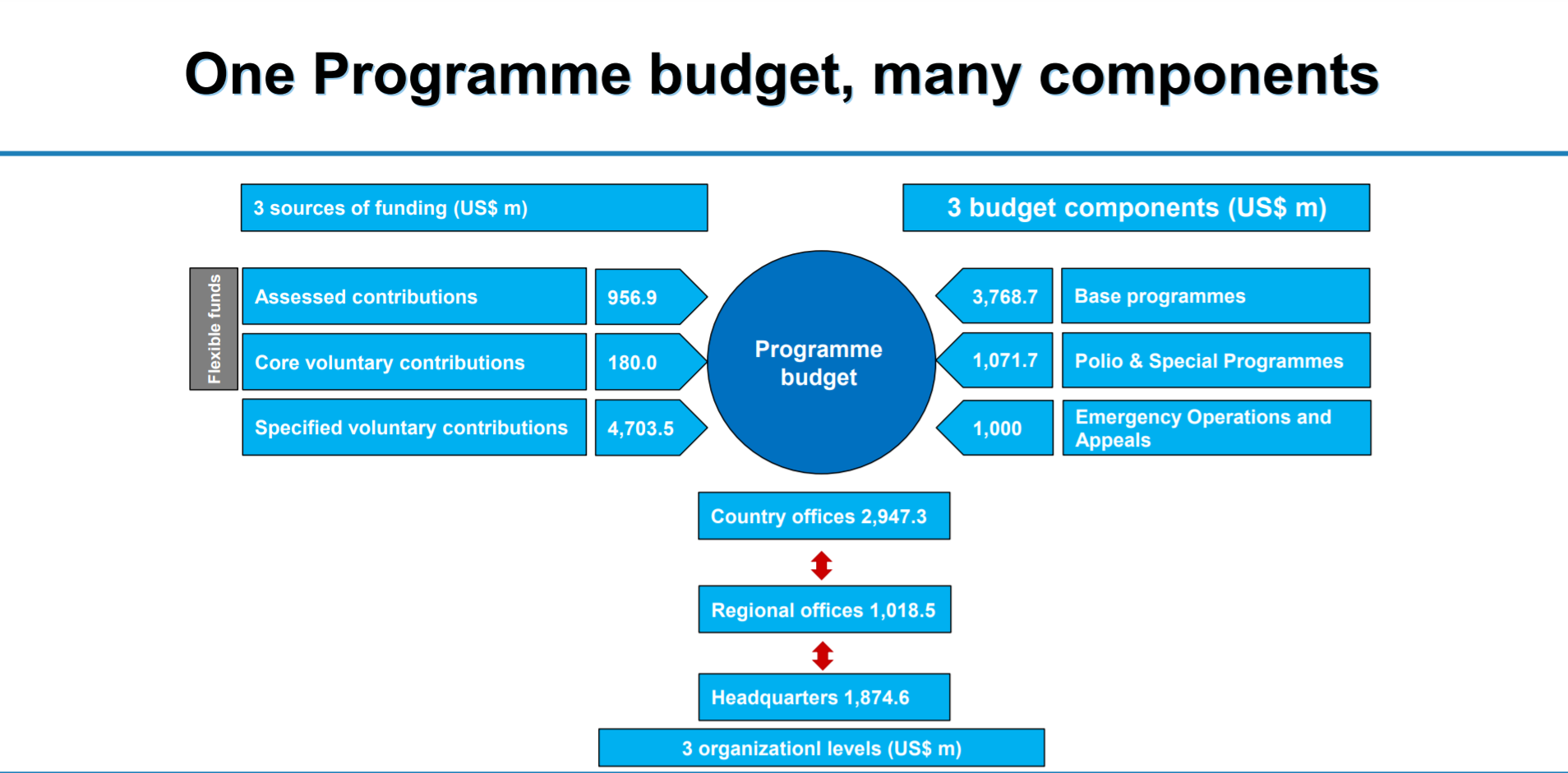 Member states could consider paying more to support WHO, some remain ...