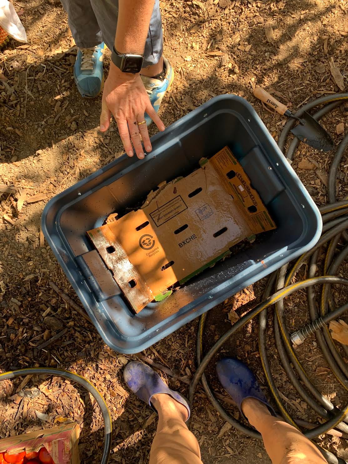 [GUIDE] How to get started with vermicomposting