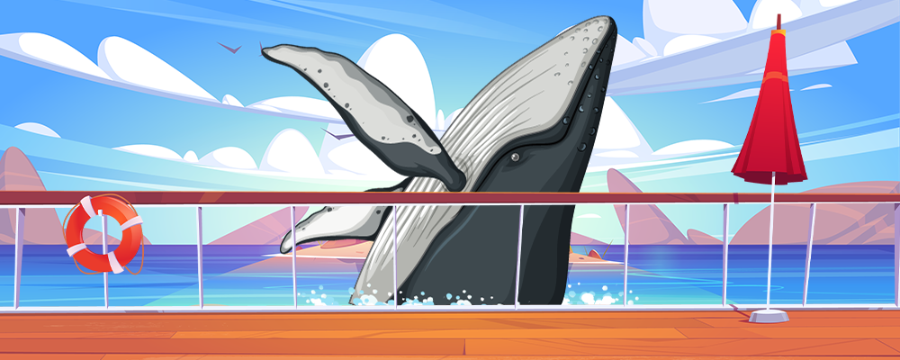 🧘‍♂️Beginner's Whale Tracking Guide - Market Meditations