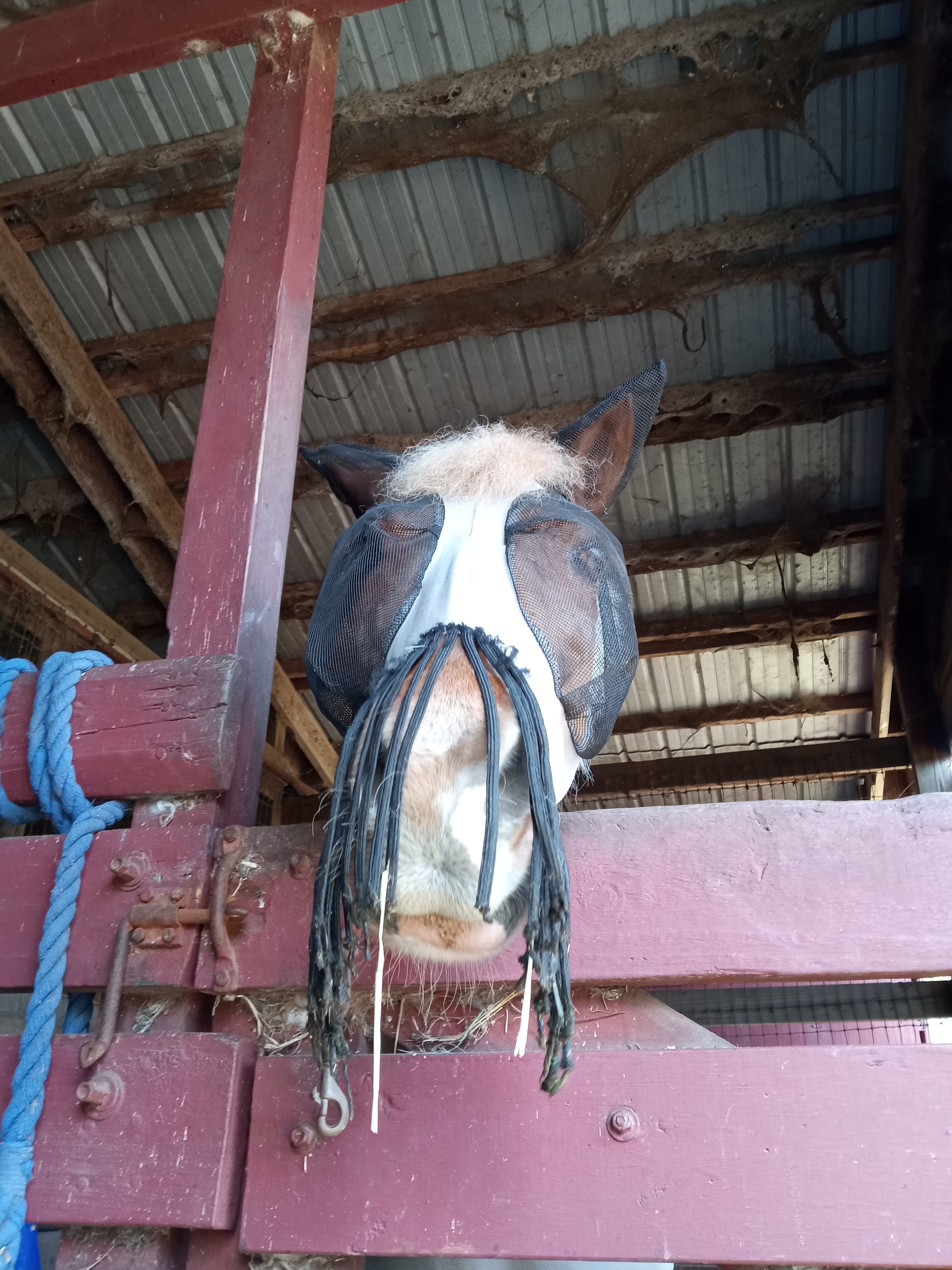 Mia Rides! - Mia Rides!!