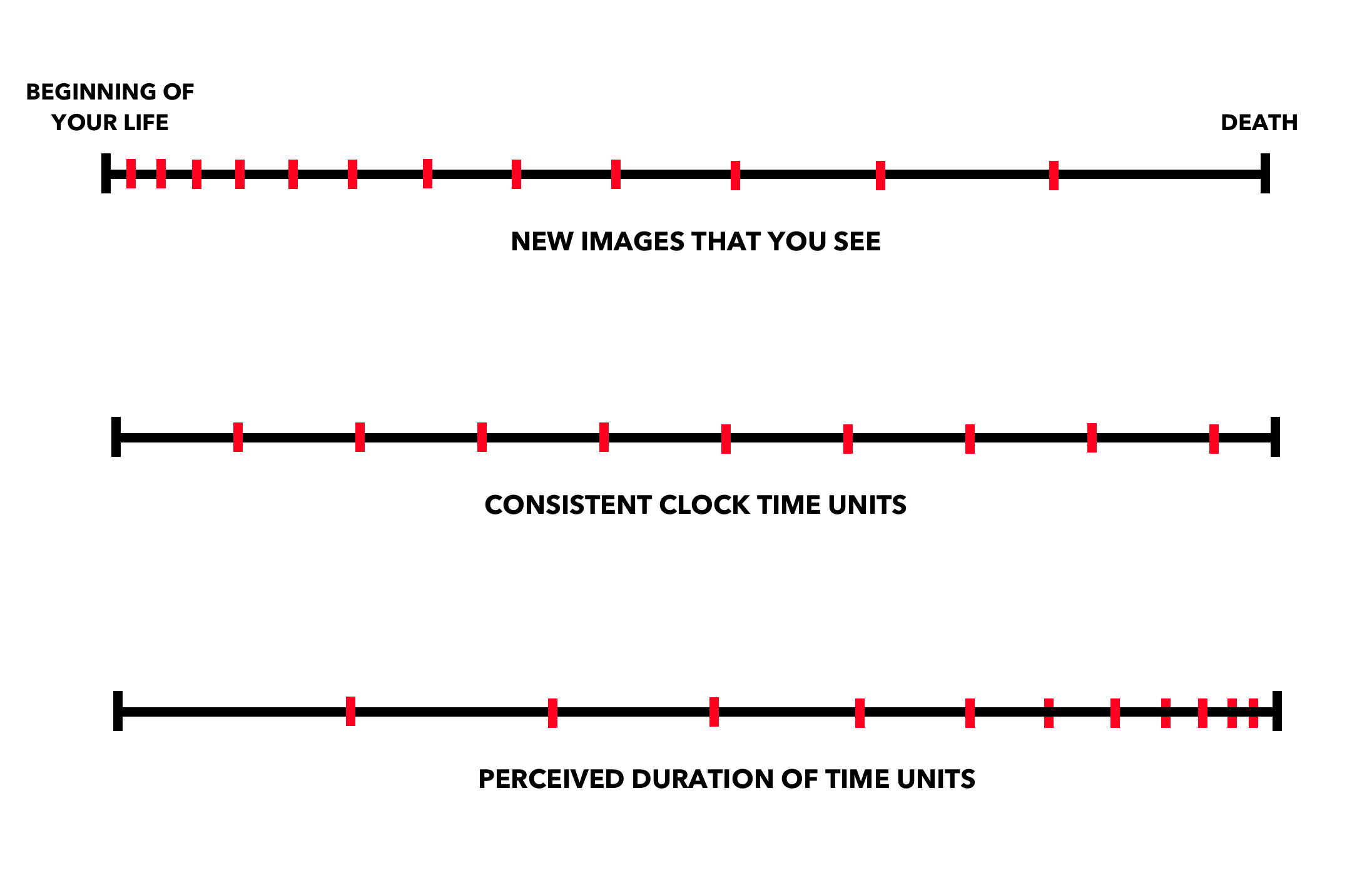 How much faster do we age when we get older?