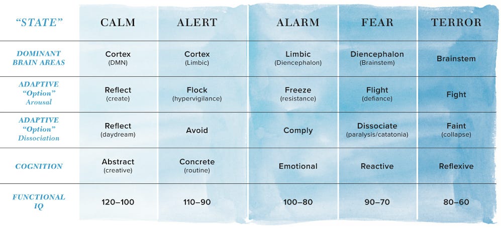 🧐#2: What Happened To You? by Oprah Winfrey and Dr Bruce Perry - Book ...