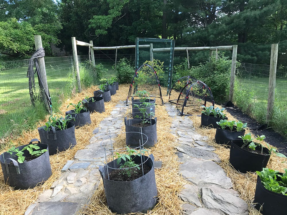 The Sad Garden, Part 1 - by J. M. Elliott - Glenshee