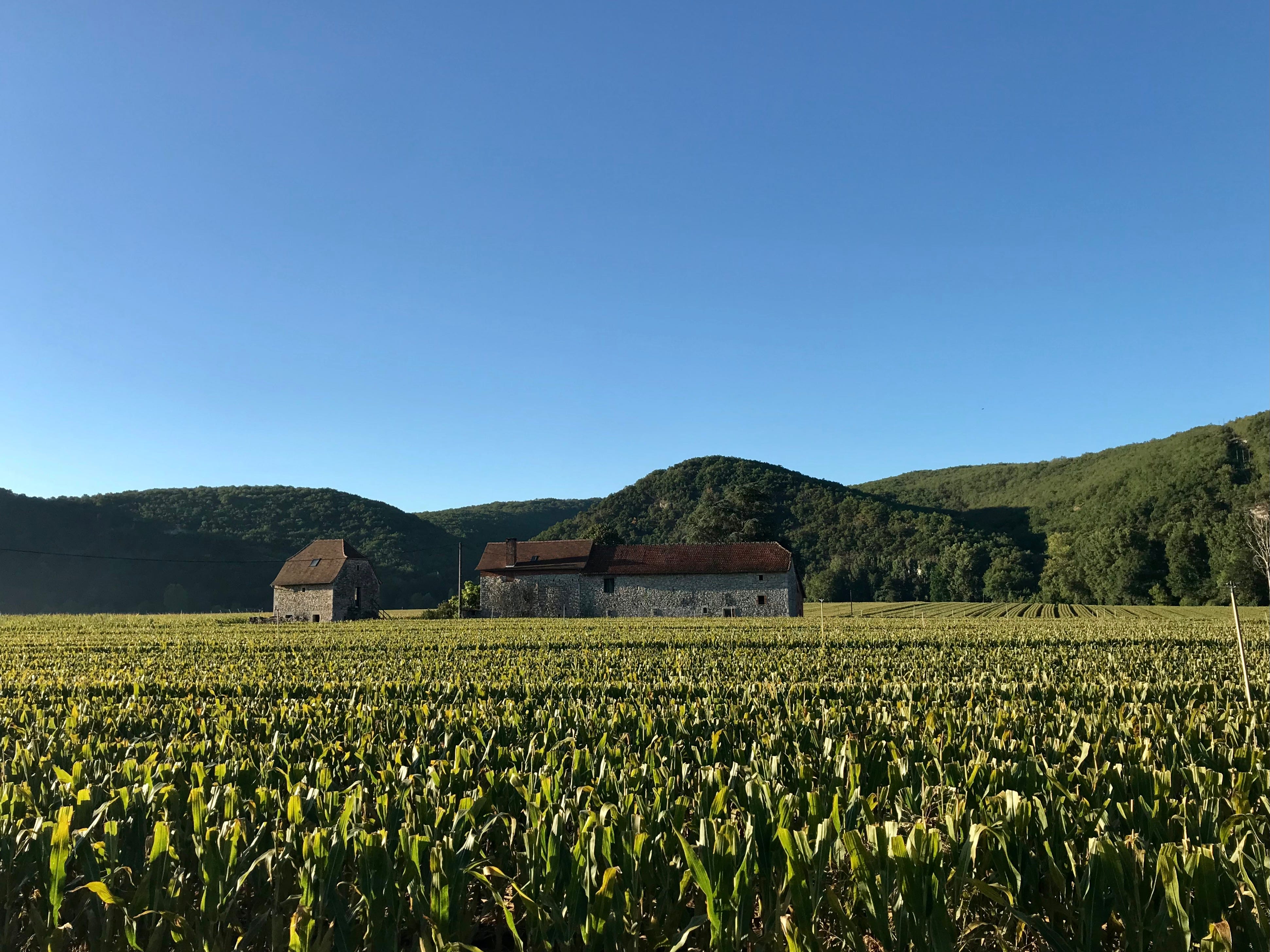 The Frenchman, Part One - by Erin Mercer