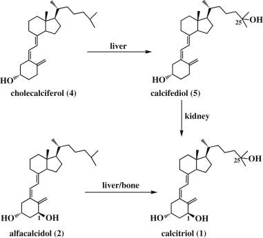 Cholecalciferol and Hysteria - by Elliott