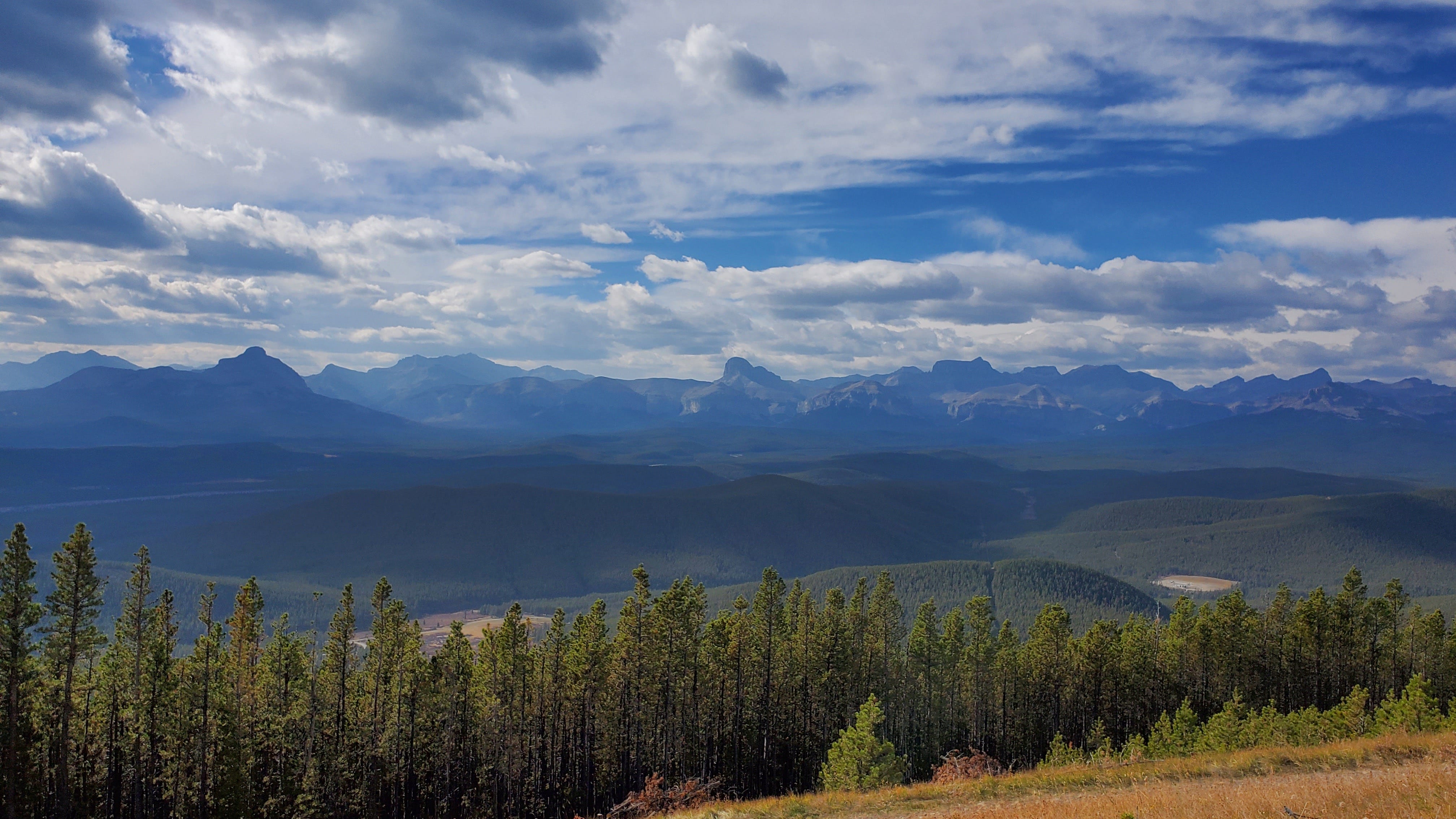 🔥🥾Hike To a Fire Lookout (Or Two) - by Annalise & Cailynn