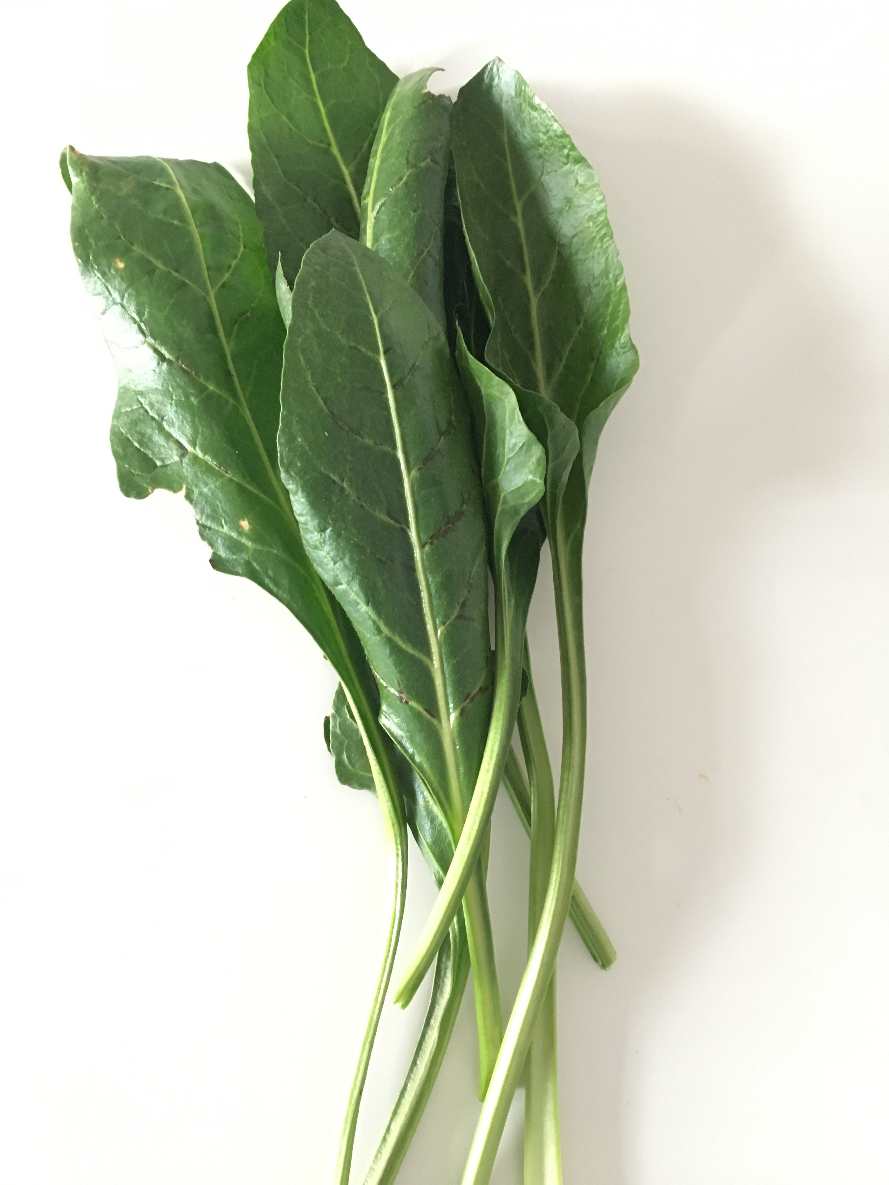 D is for Dimmi Tutto - by Michelle Ciani