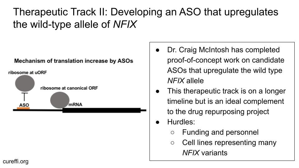 NFIX Cure Roadmap - by Ethan O. Perlstein, Ph.D.