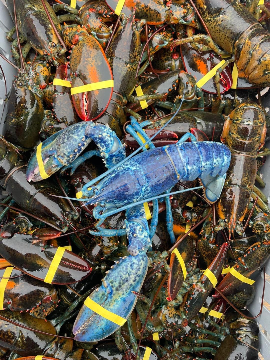 September 10, 2022 - by Heather Cox Richardson