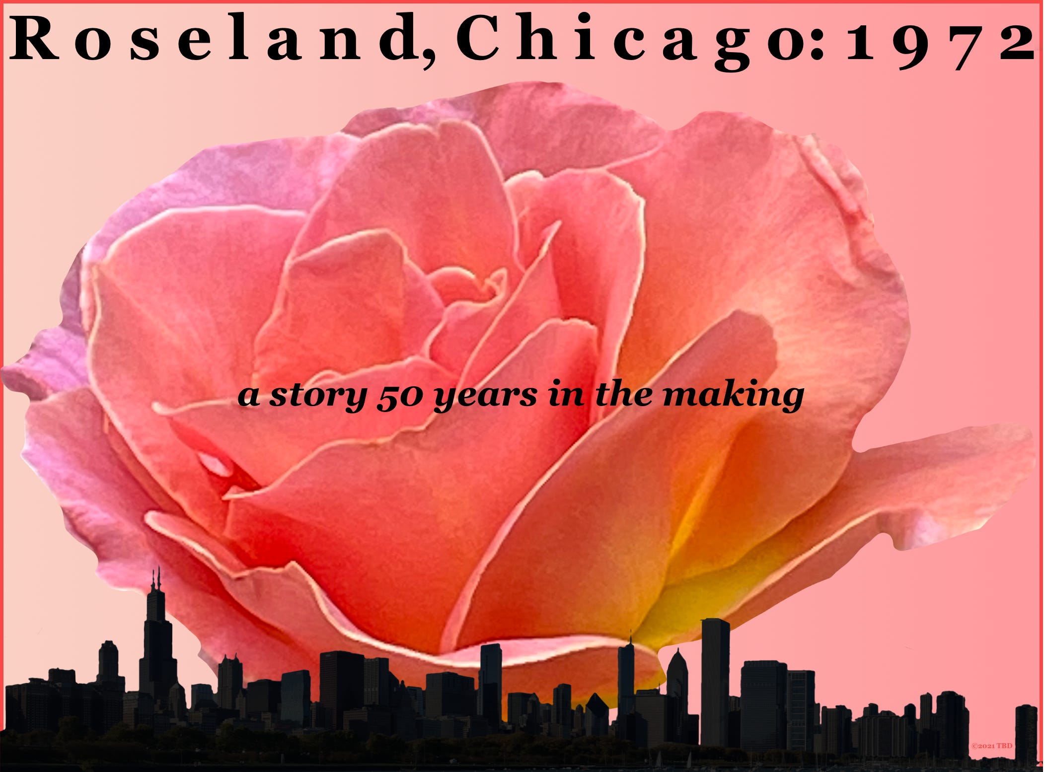 Mike Royko 50 Years Ago Today: Mike's most scorching column