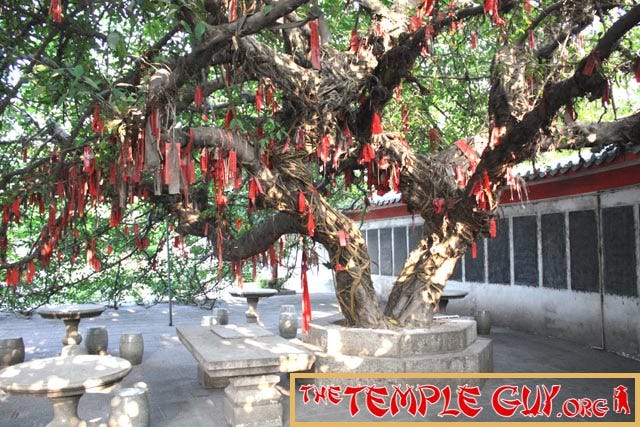 Ep. 033: Tracking Tianhou Temples in Nanshan, Shenzhen