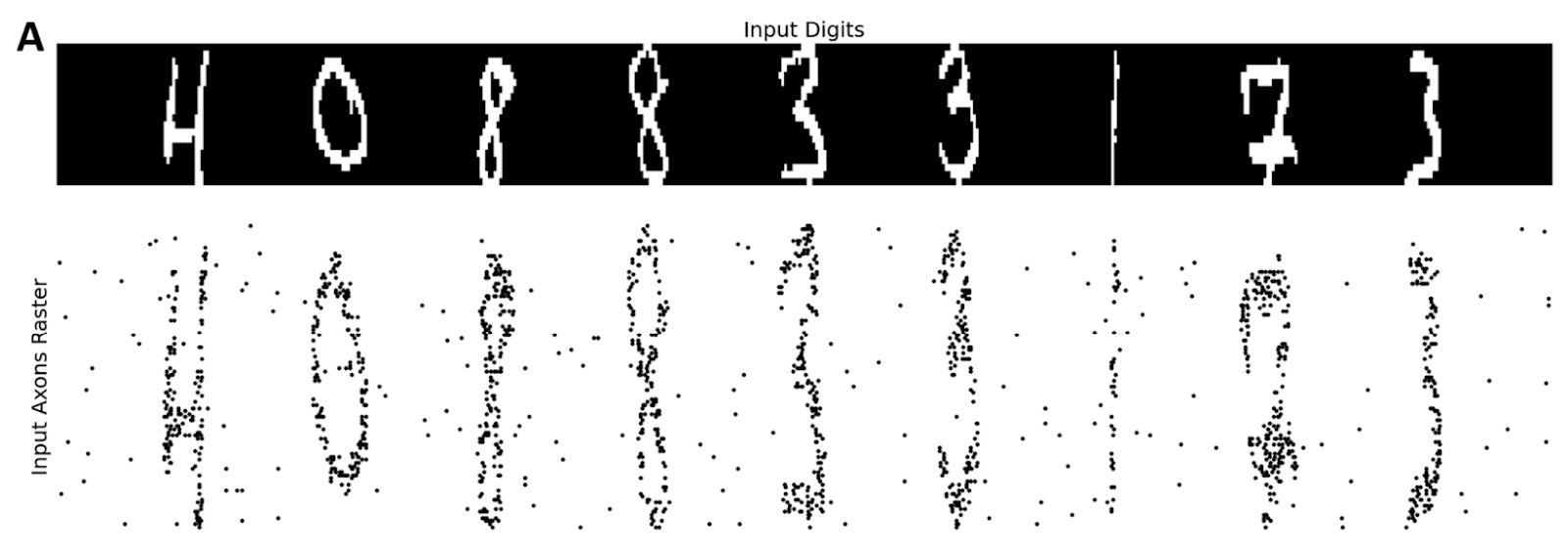 Can a Single Neuron do MNIST? - by silenceinbetween