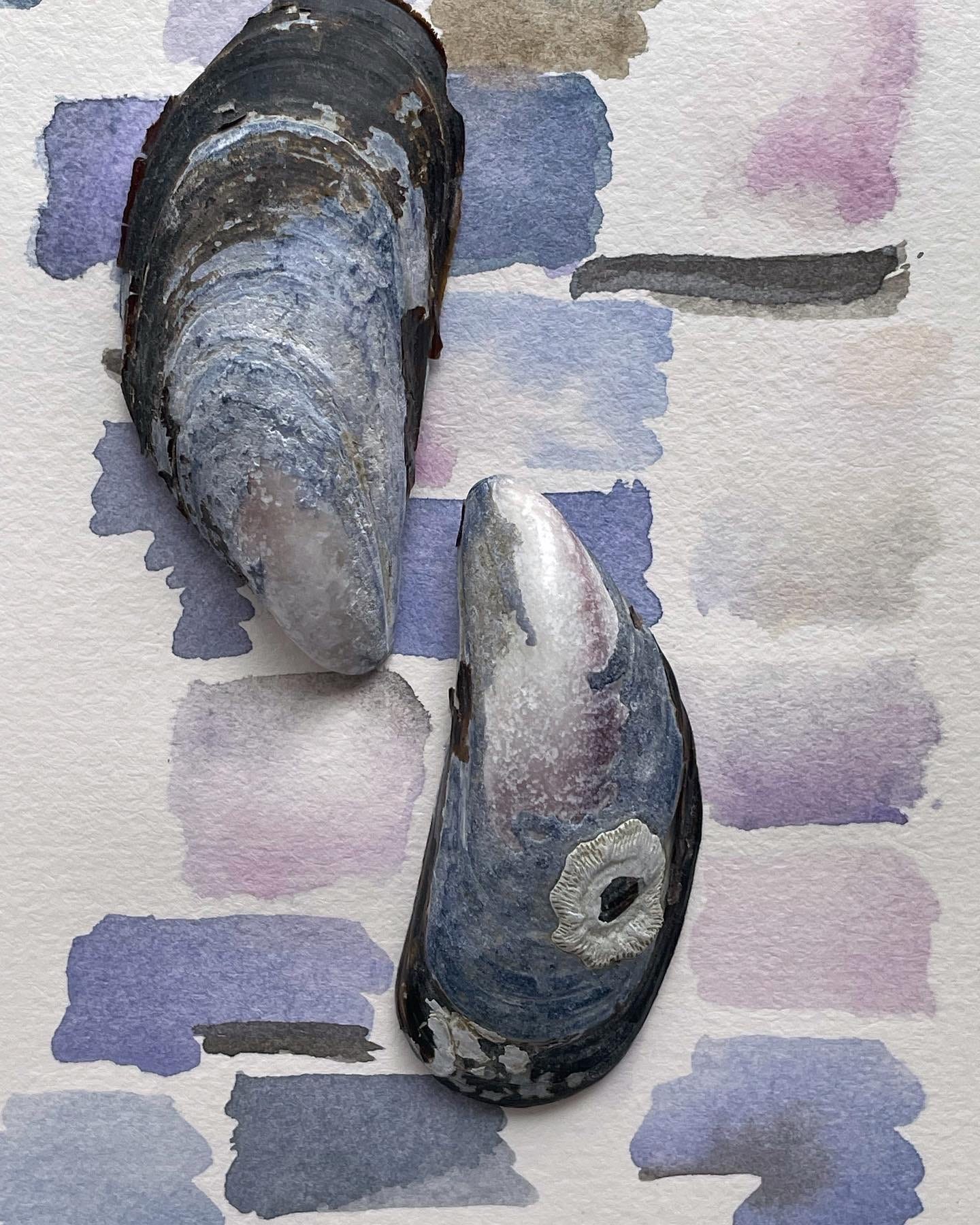 Seeing color - by Lorene Edwards Forkner