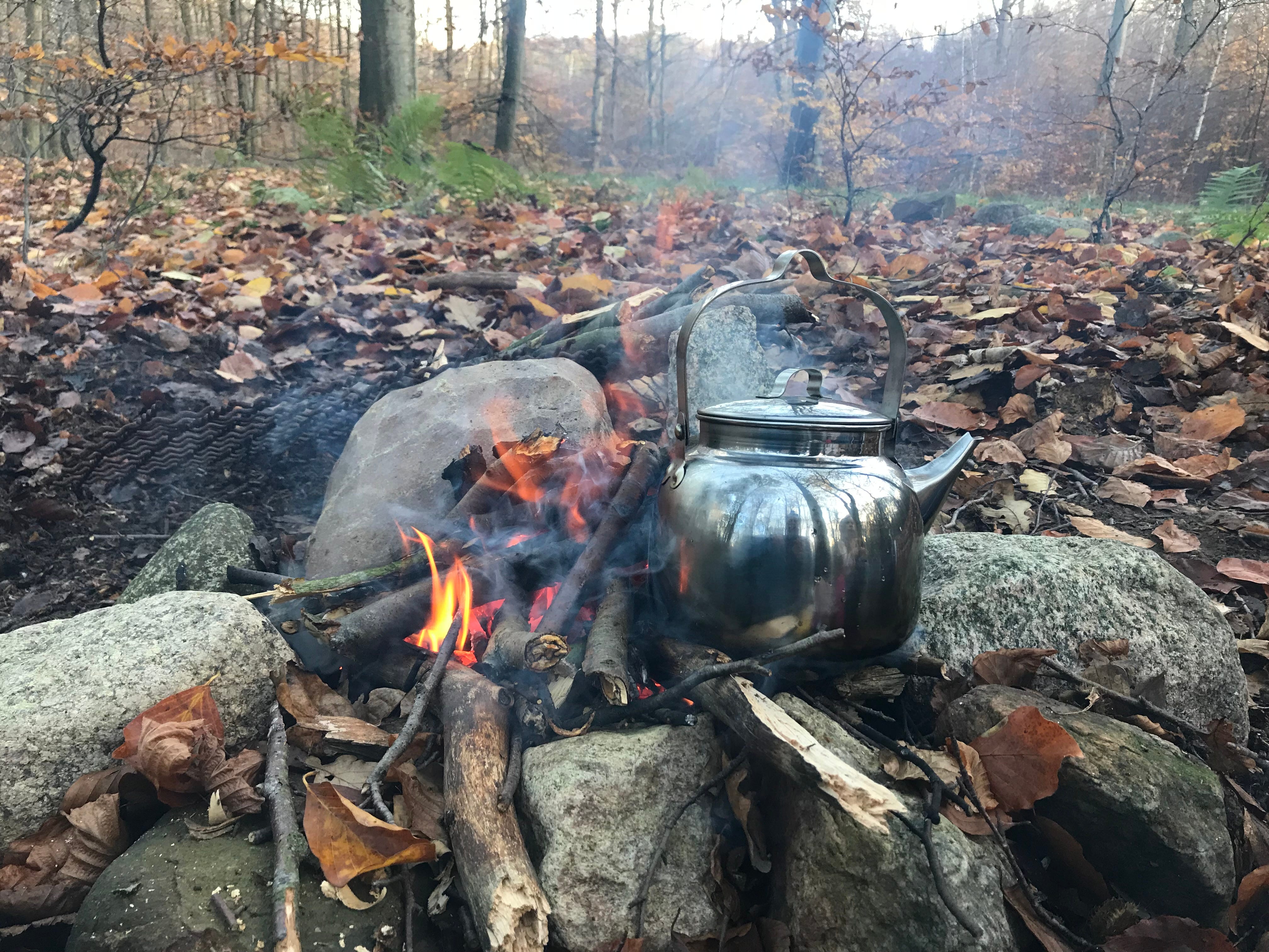 What is Bushcraft? - by Gustav - Bushcraft