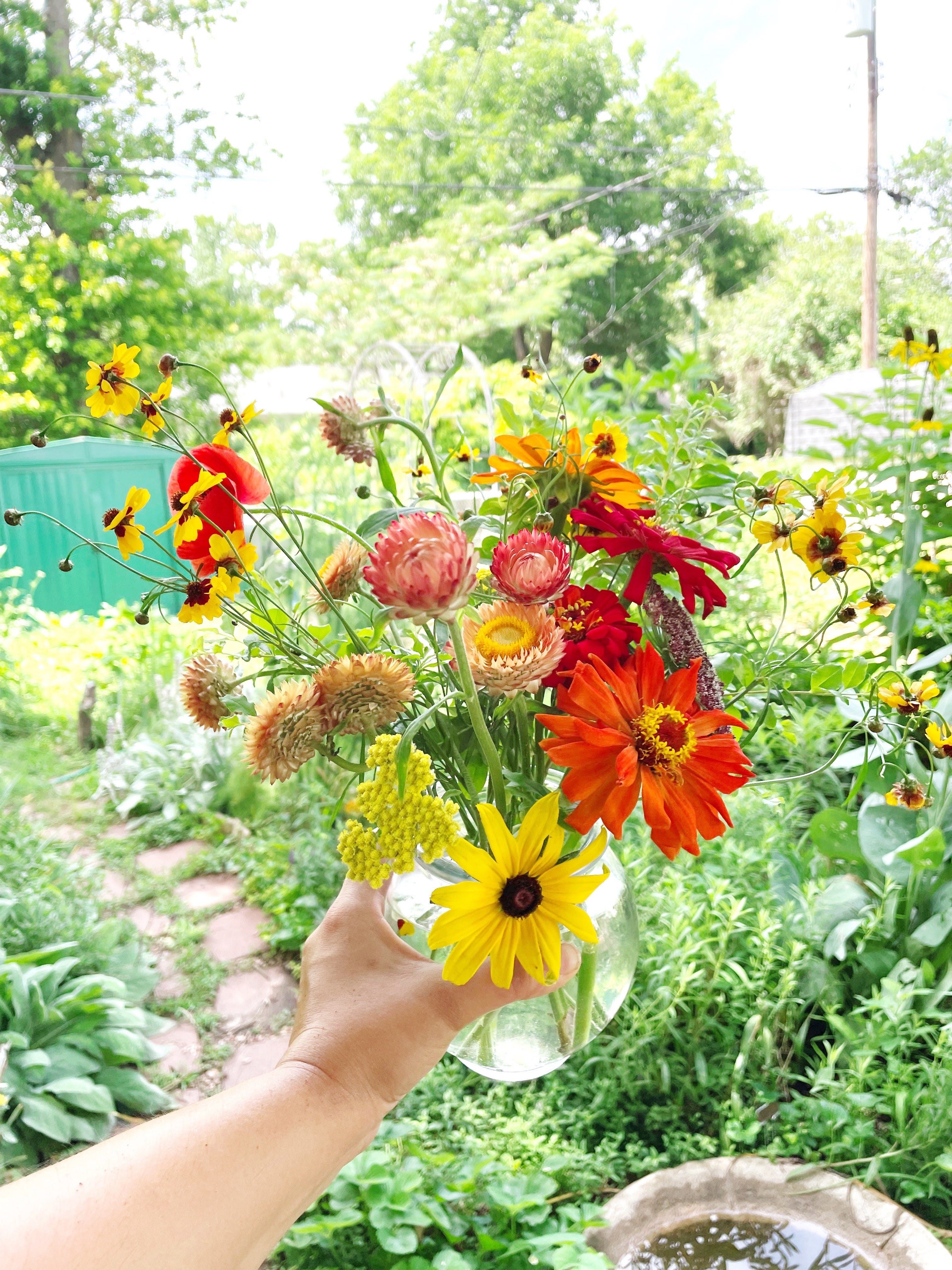 How a yard turns into a garden - Ashley Heider Daly