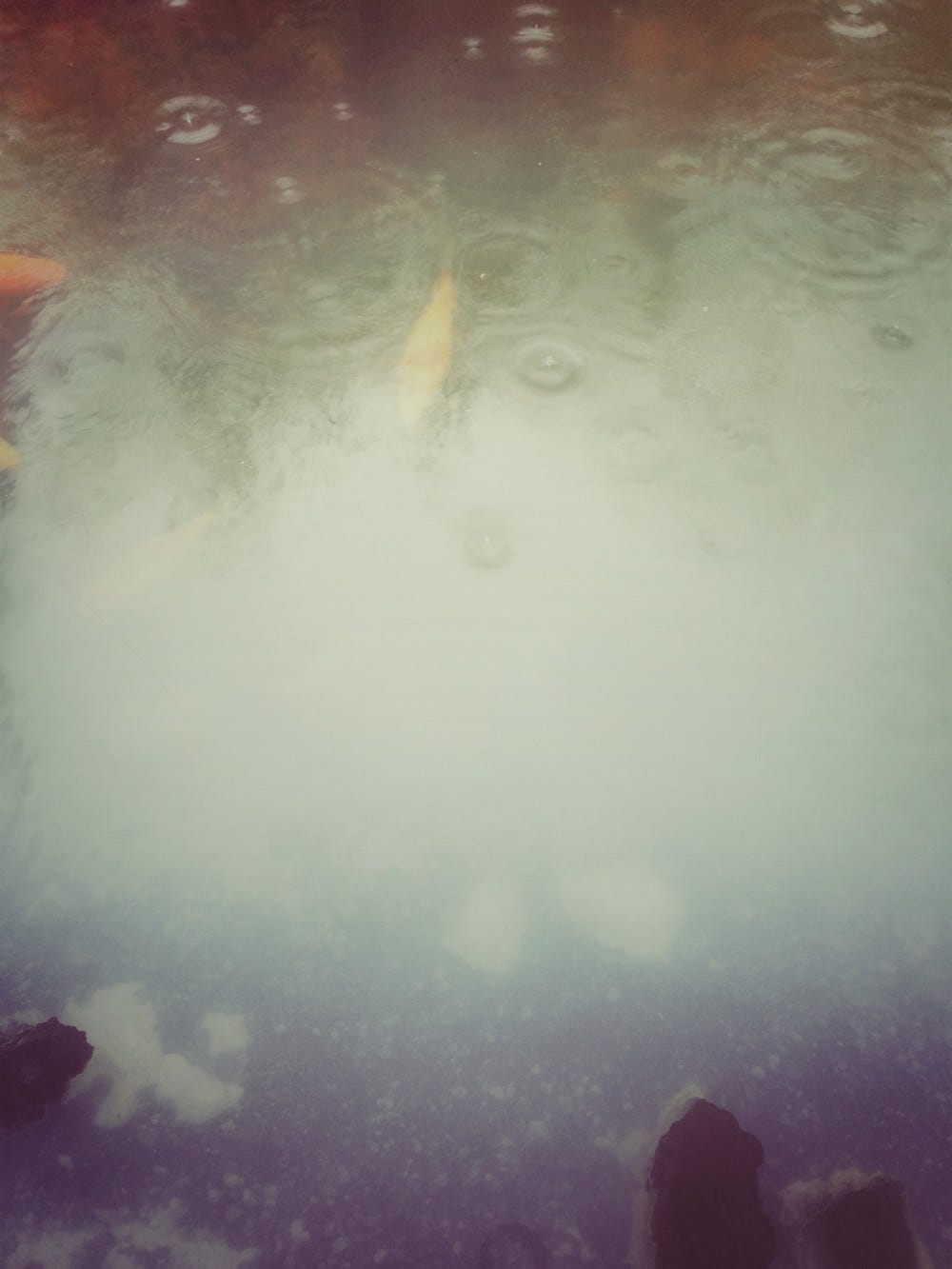 475 / pond reflections - by Marcus Fischer - Dust Breeding