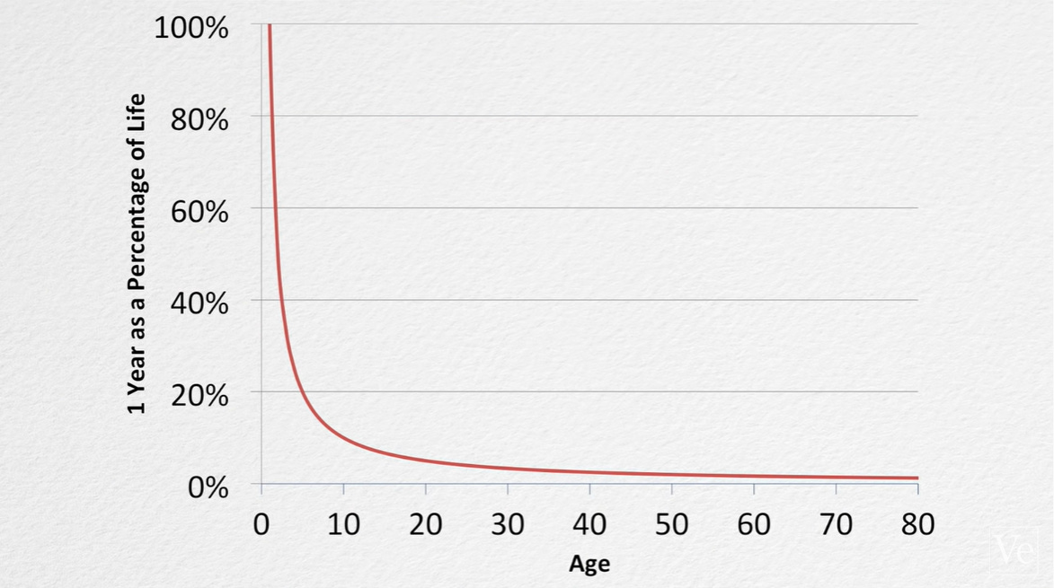Why does life seem to go faster as you age?