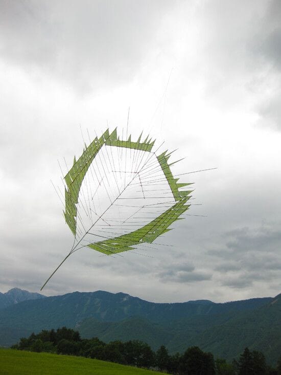 Cape Cod II - by Toronto Ink Company