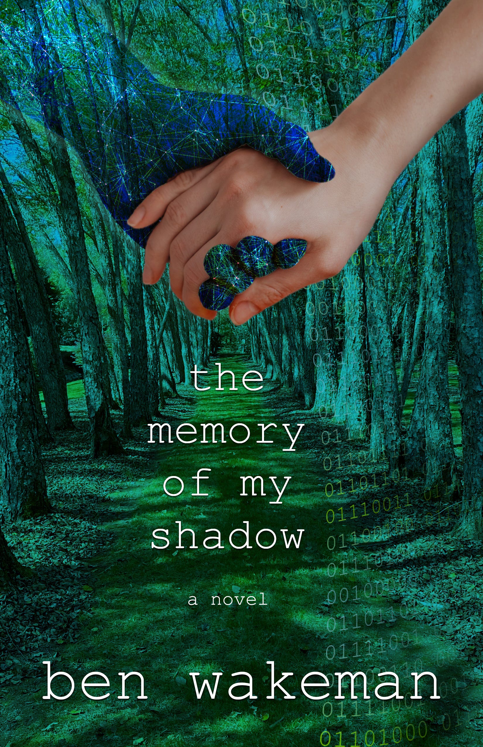 Preview: The Memory of My Shadow - by Ben Wakeman