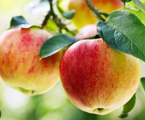 Double Duty Teacher | Substack