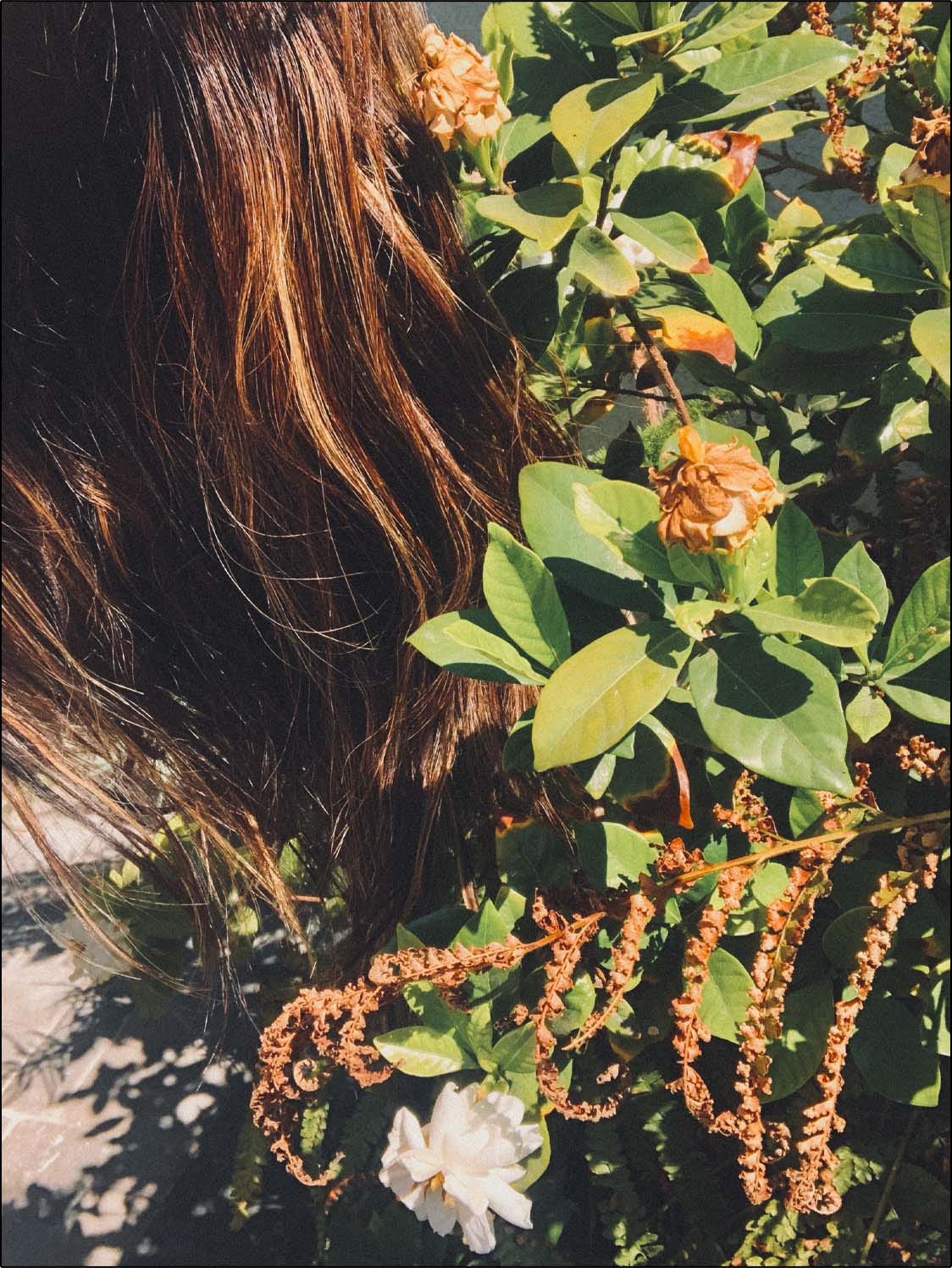 Why taking care of something dead makes me feel alive