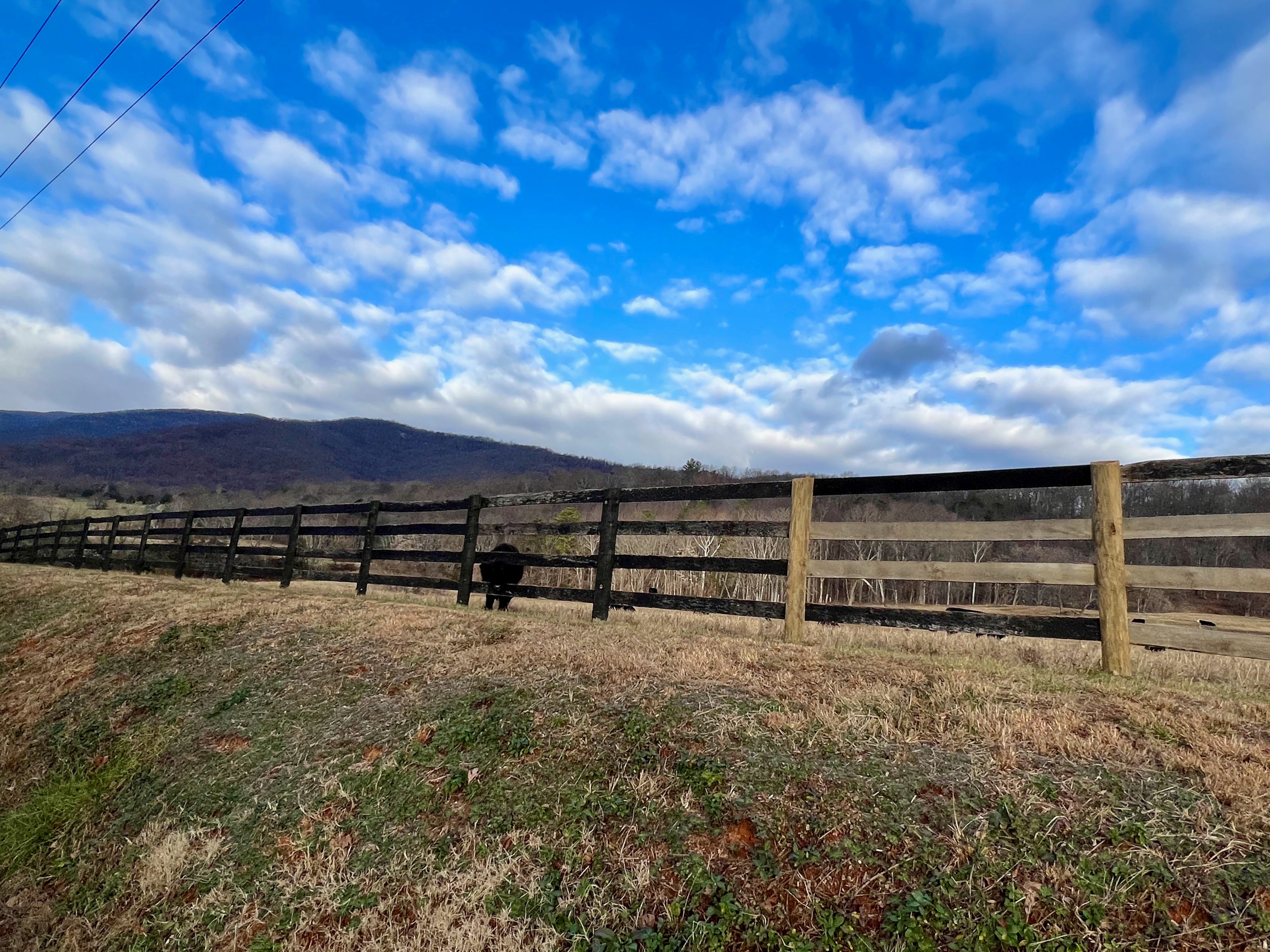 18 years, World Cup, Death, A good app - by Jim Duncan