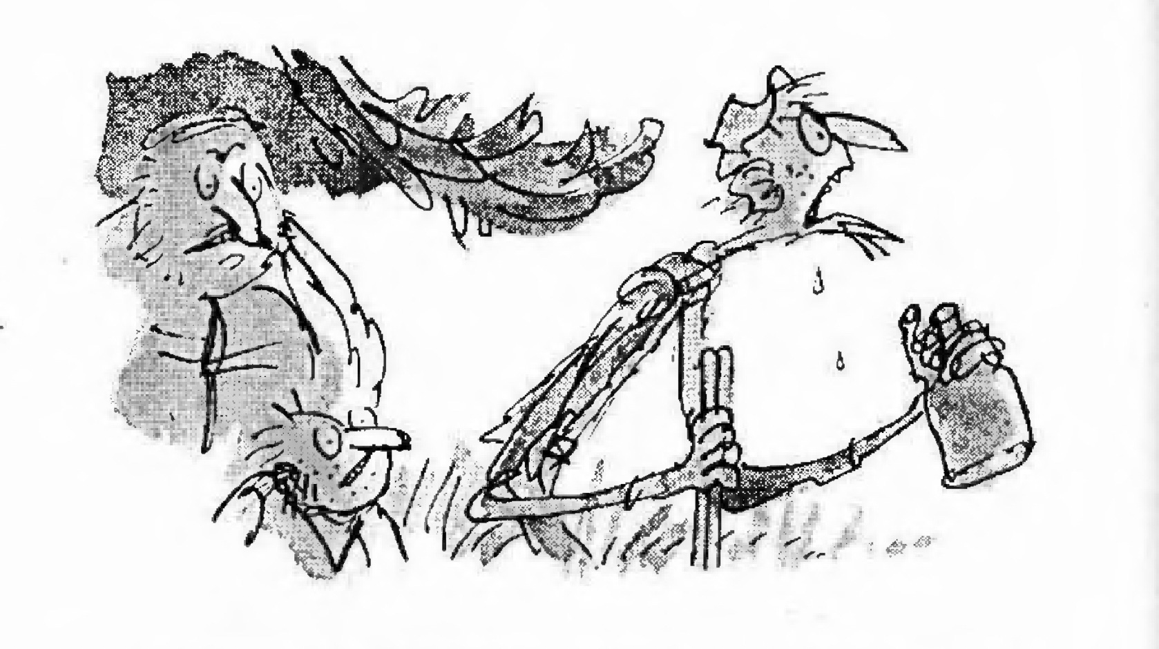 Fantastic Mr. Fox and the decline of children's books