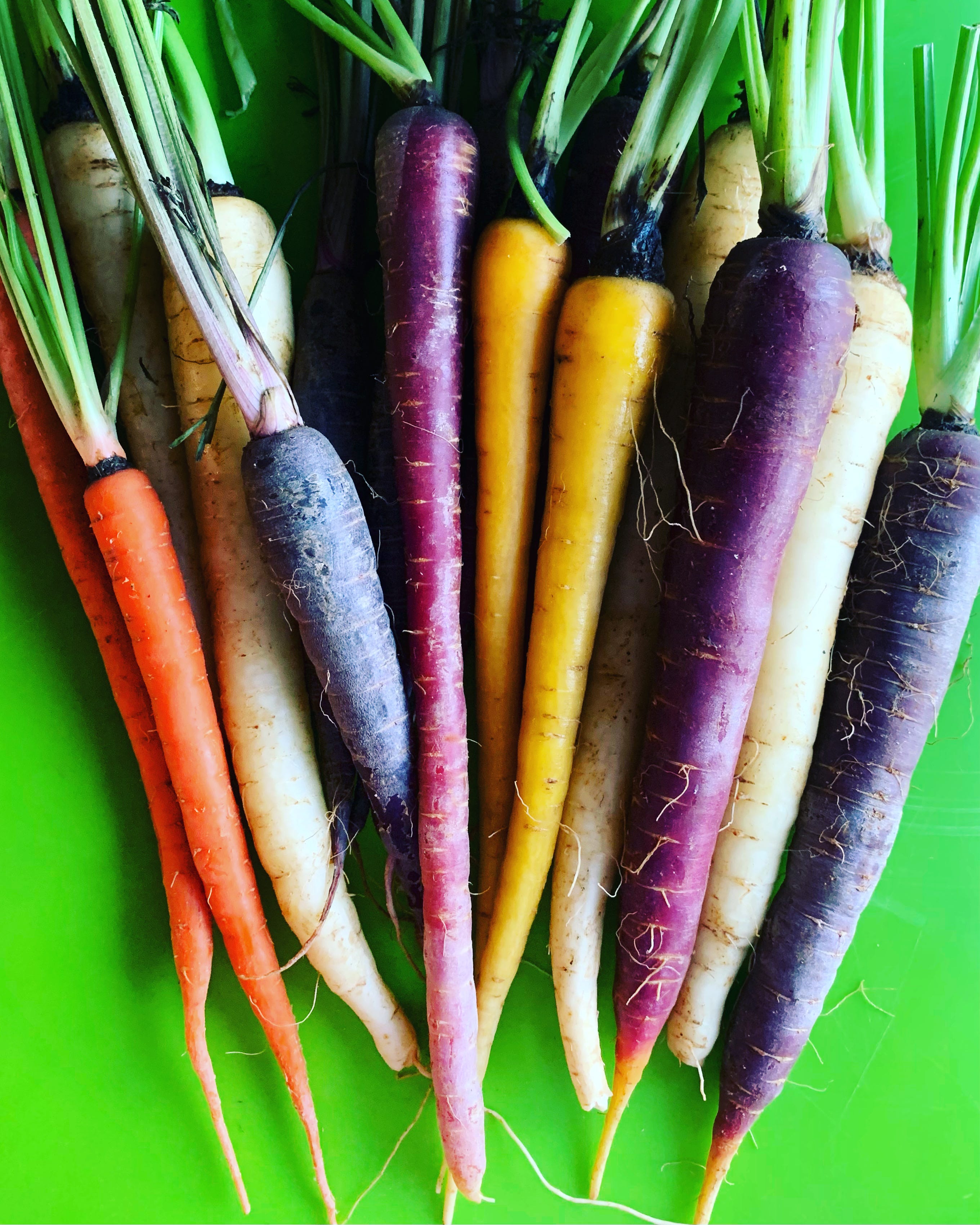 Farro, Roasted Carrots, Yogurt! - by emily nunn