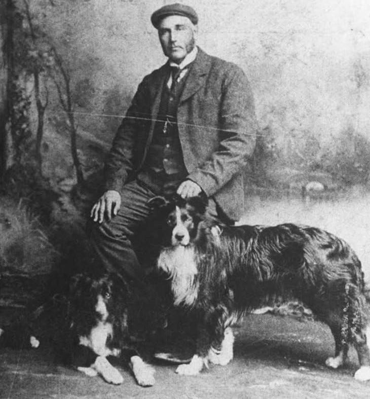 Stanley Sheppard | Substack