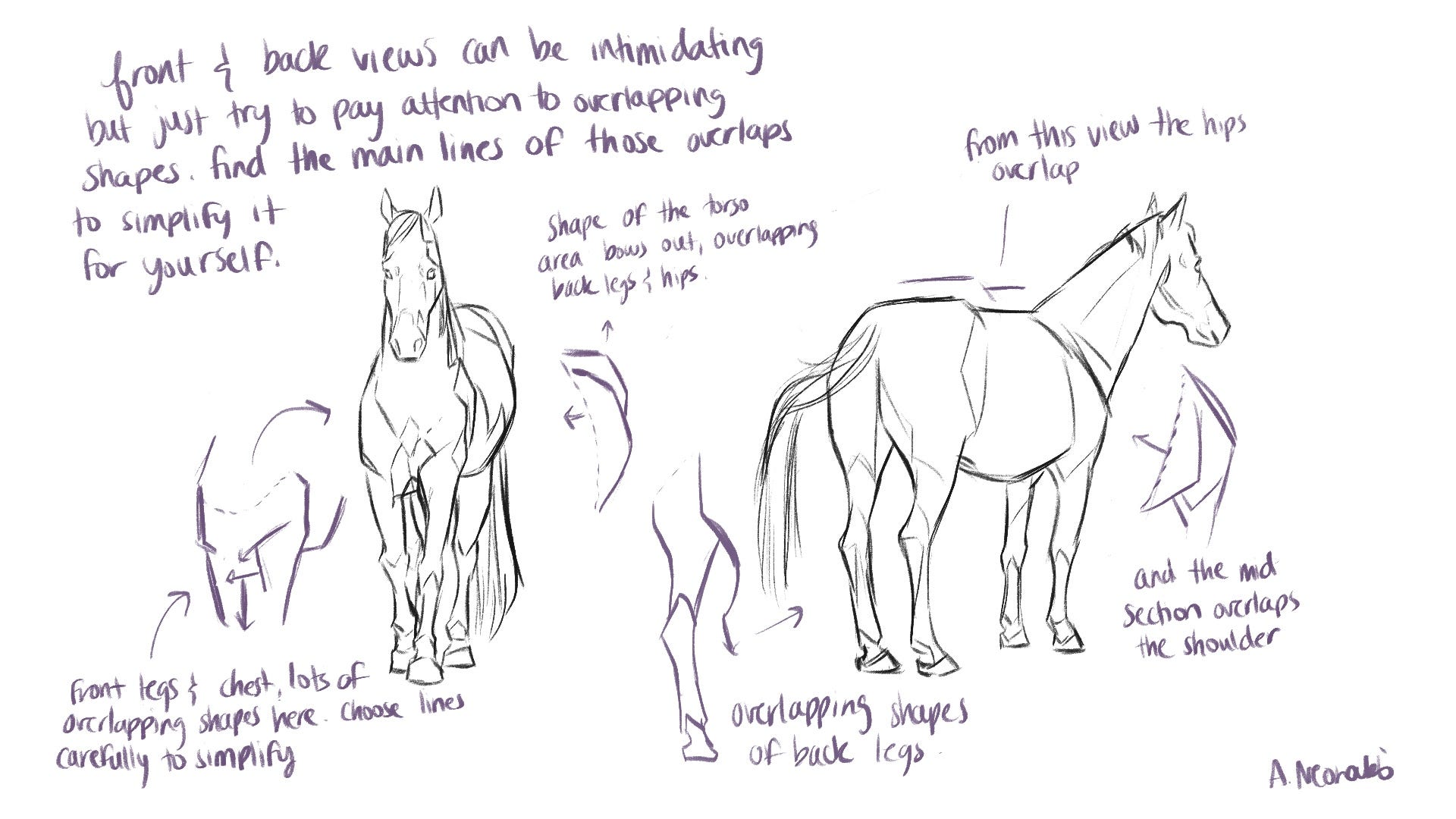 Horse Drawing Notes - Alexandria Neonakis' Sketchbook