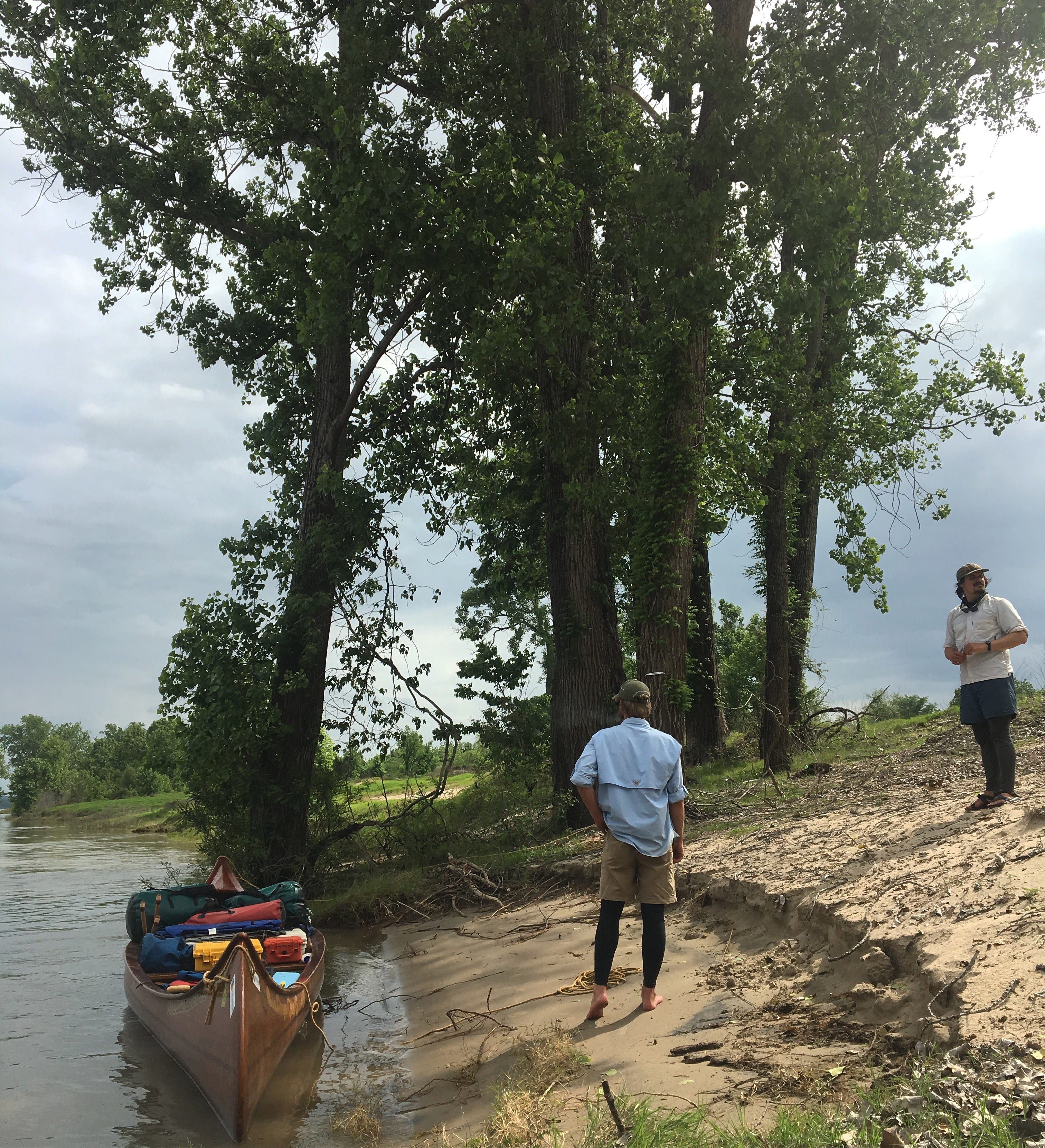 Batture - by Boyce Upholt - southlands