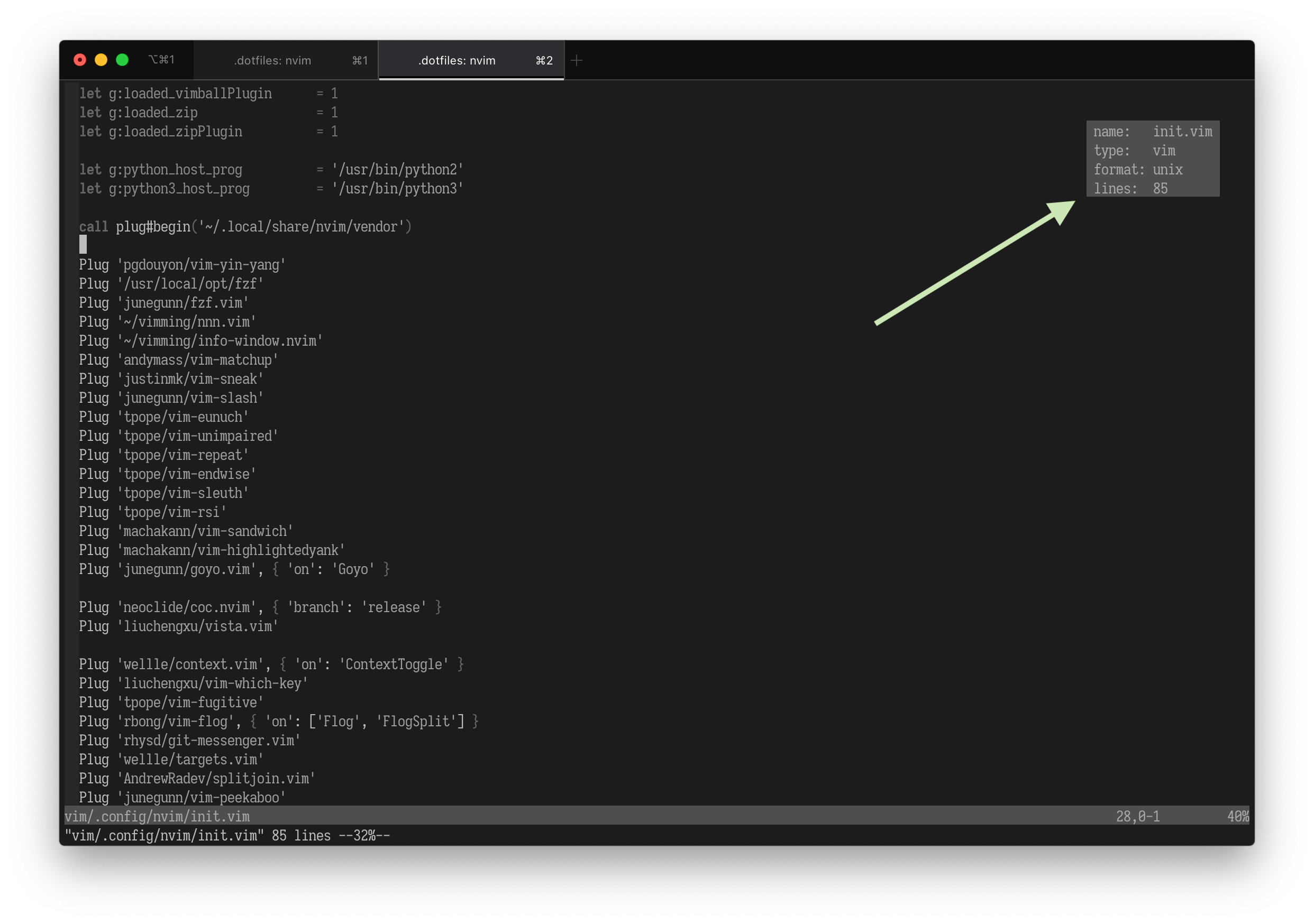 info-window.nvim: replacing statusline plugins with floating window
