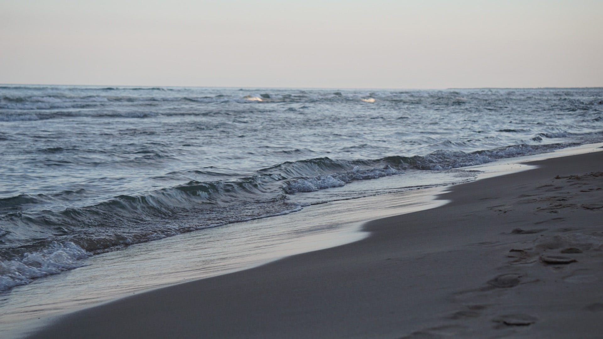 Believe the hype. - by Brandon Colligan - The Bubbler