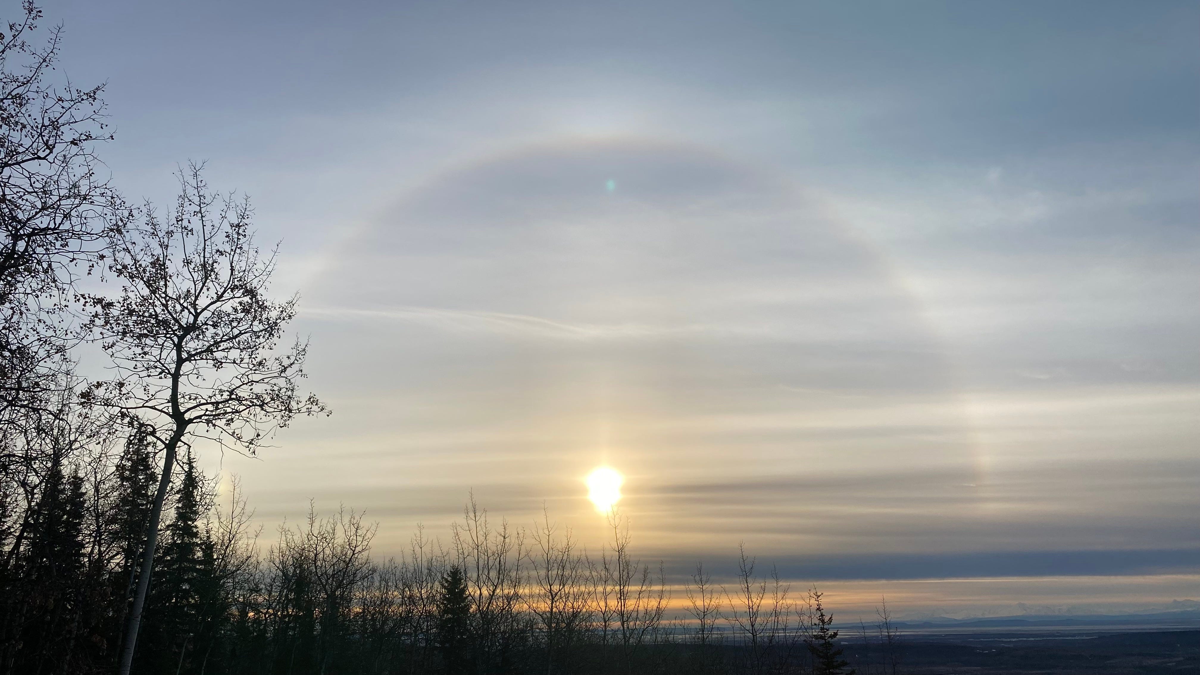 Solstice and Solace - by Michael Brumage, MD, MPH