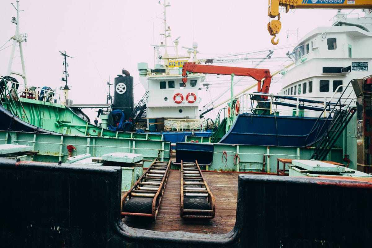 2021 - A Year In Review - by Matthew Martin - Endless Proof