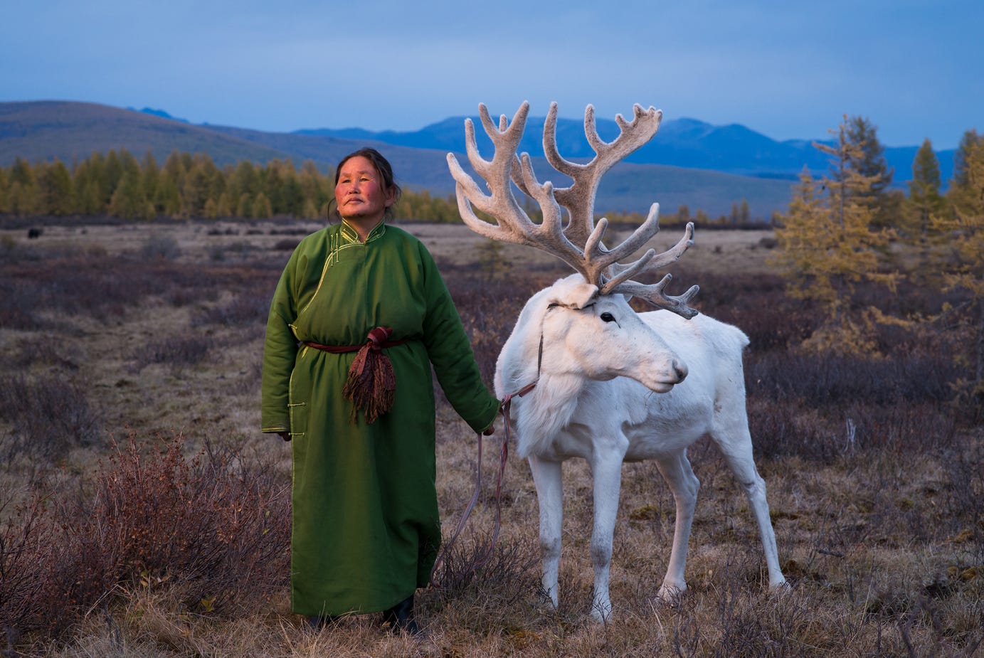 Women of the Deer Mother's Solstice - by Genevieve Gluck