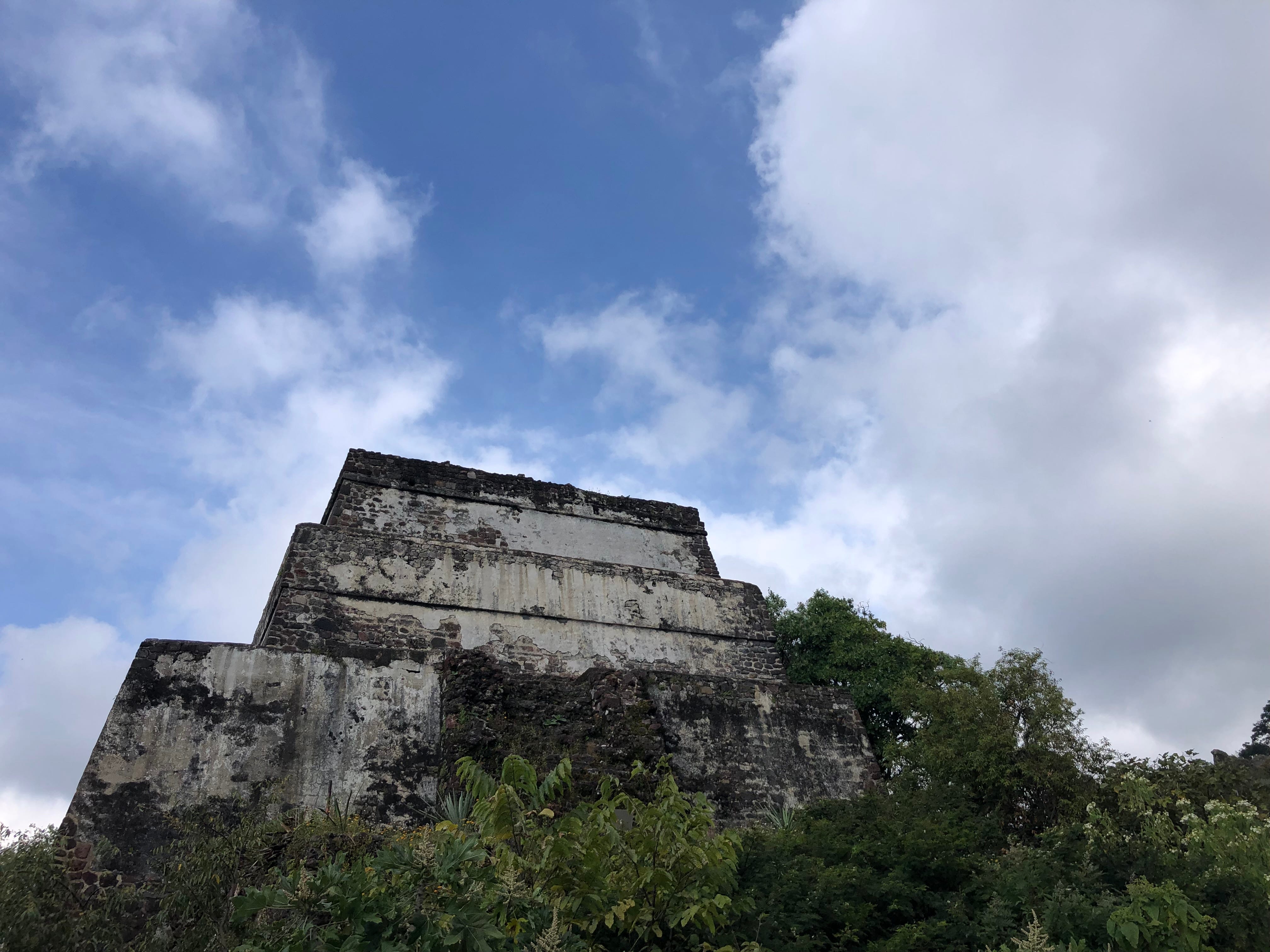 Checking In | Jaimy Lee | Substack