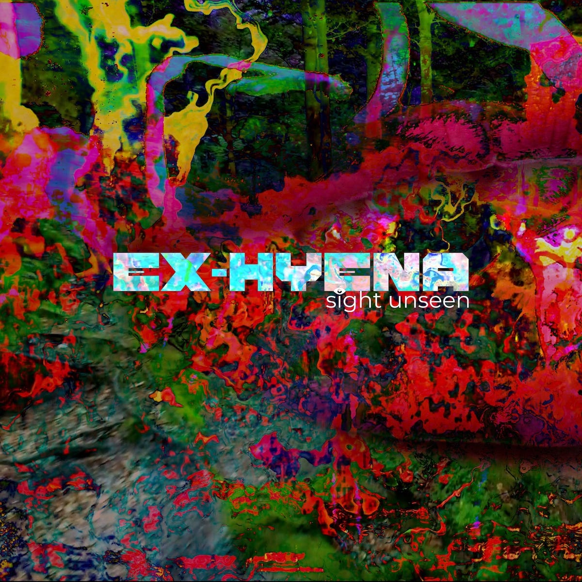 Ex-Hyena remain hidden in plain view on ‘Sight Unseen’