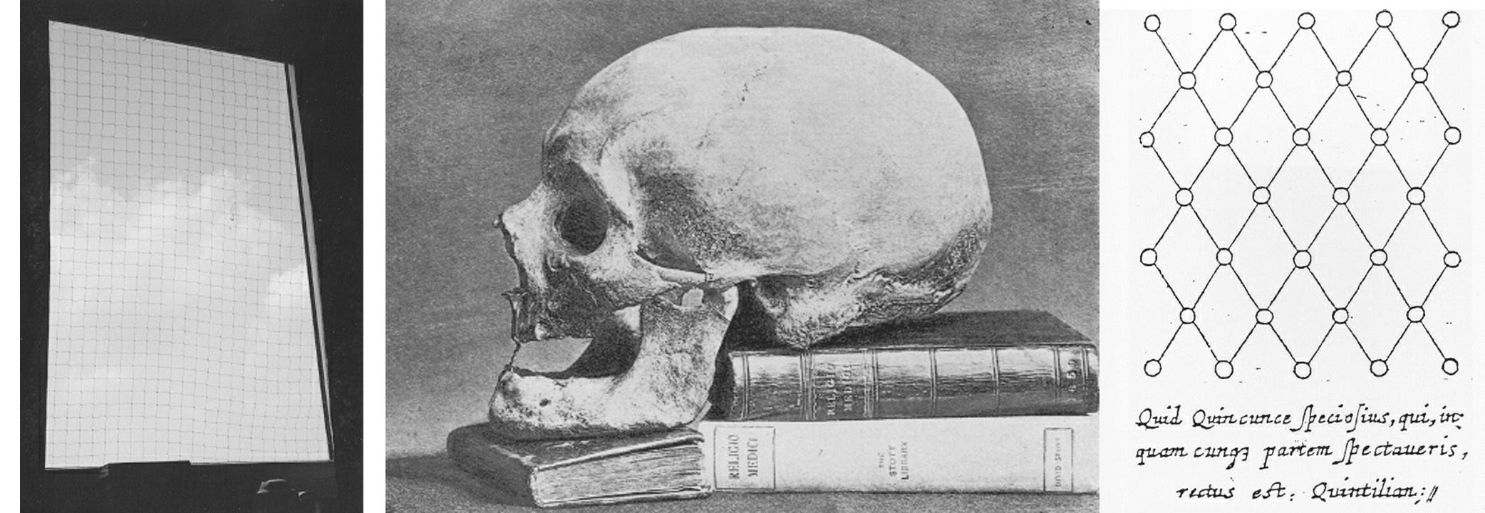 Dissecting Sebald - by Andrew Smith - Walks with Max