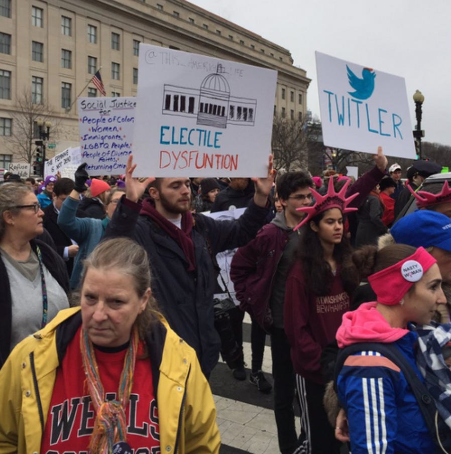 Puns for Protest - by Rebecca Ericson-Hua - Everybody Talks